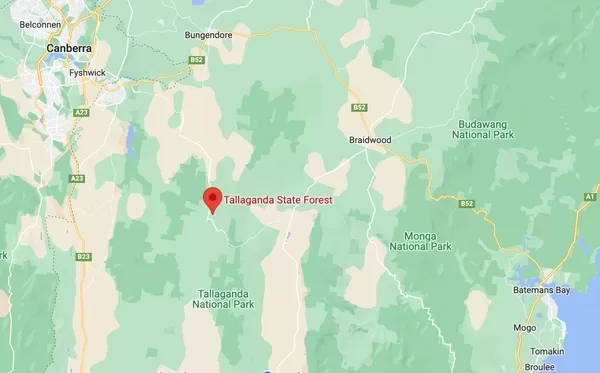 EPA’s Stop Work Order extended in Tallaganda State Forest