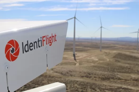 Wind Farms using AI & Cameras for Eagle Conservation