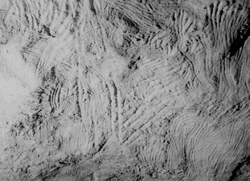 Koonalda Cave Vandals Destroy Ancient Aboriginal Treasure