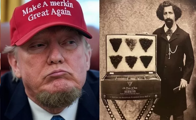 “Make A merkin Great Again” What is a merkin?